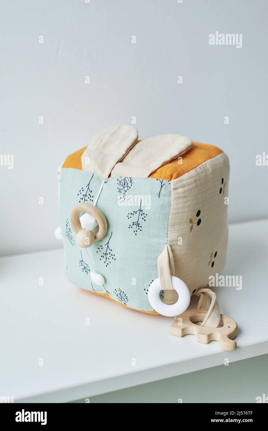 Educational toys. Baby development, fine motor skills. Children and ...