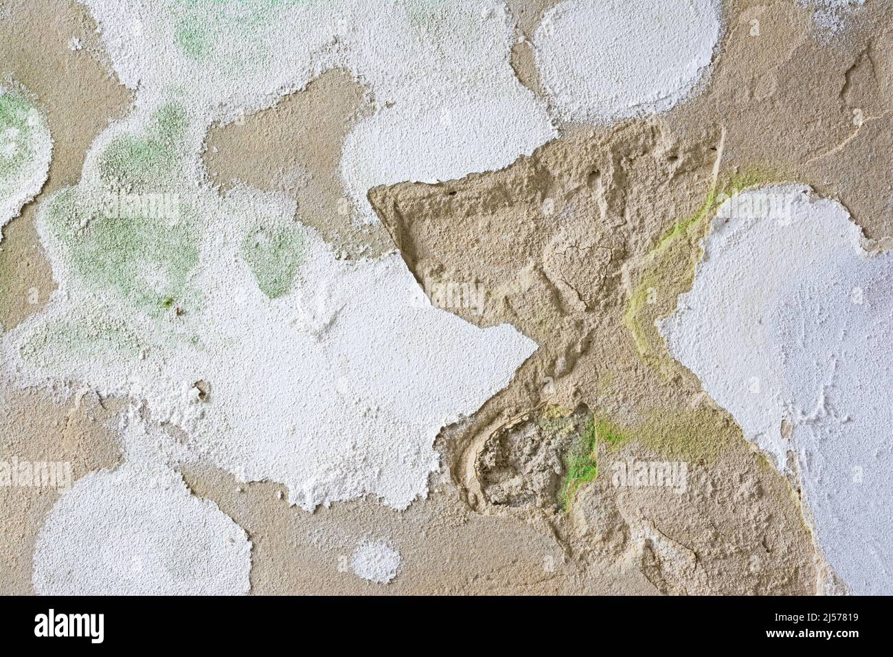 Wall plaster is crumbling from the wall. Damp wall with mold formation ...