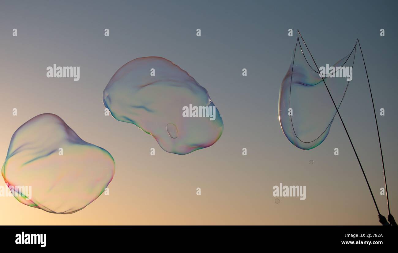 Flying soap bubbles on sky blue background at sunset. Big soap bubbles ...