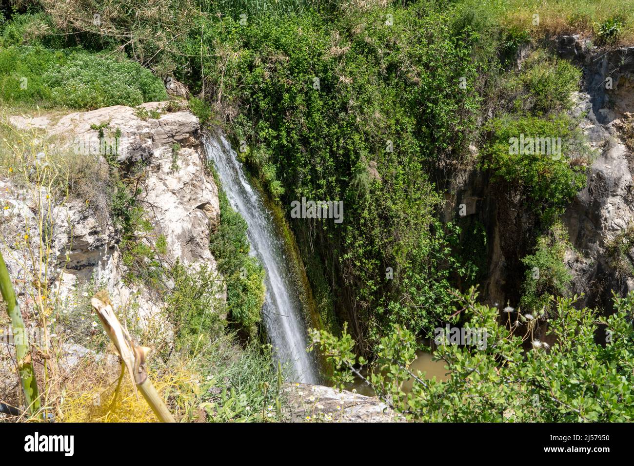 Golan trail in galilee hi-res stock photography and images - Alamy