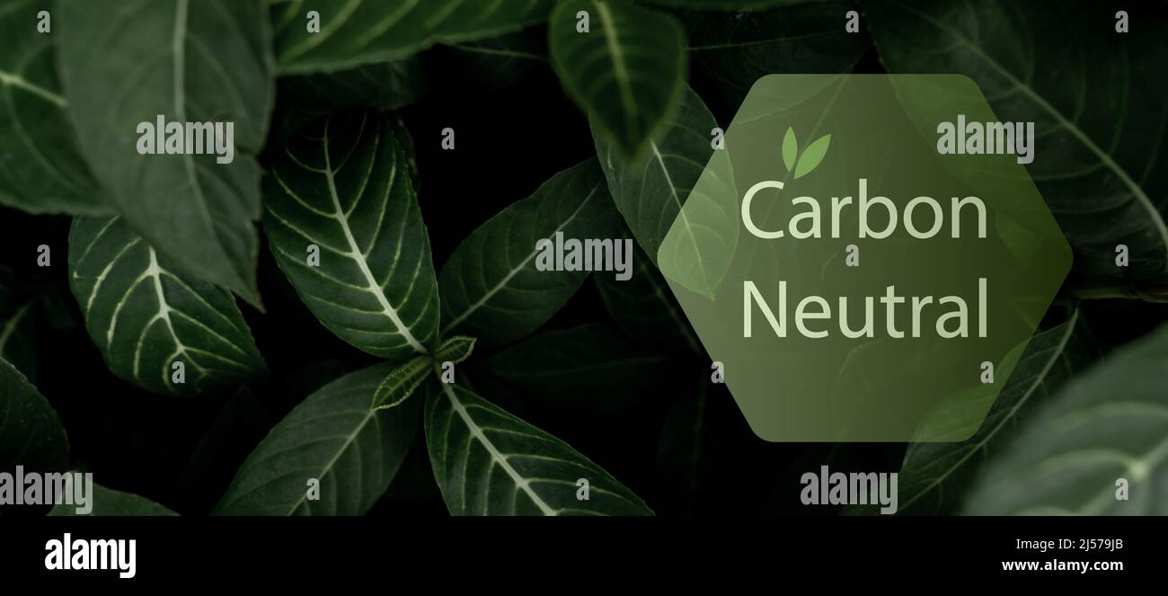 Carbon neutral concept. CO2 neutral in hexagon logo on green leaves ...