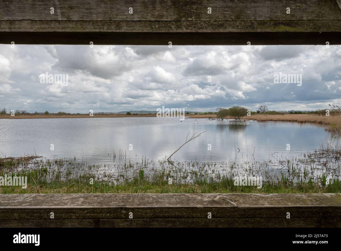 View of wetland and pond from a screen at RSPB Otmoor, a nature reserve ...