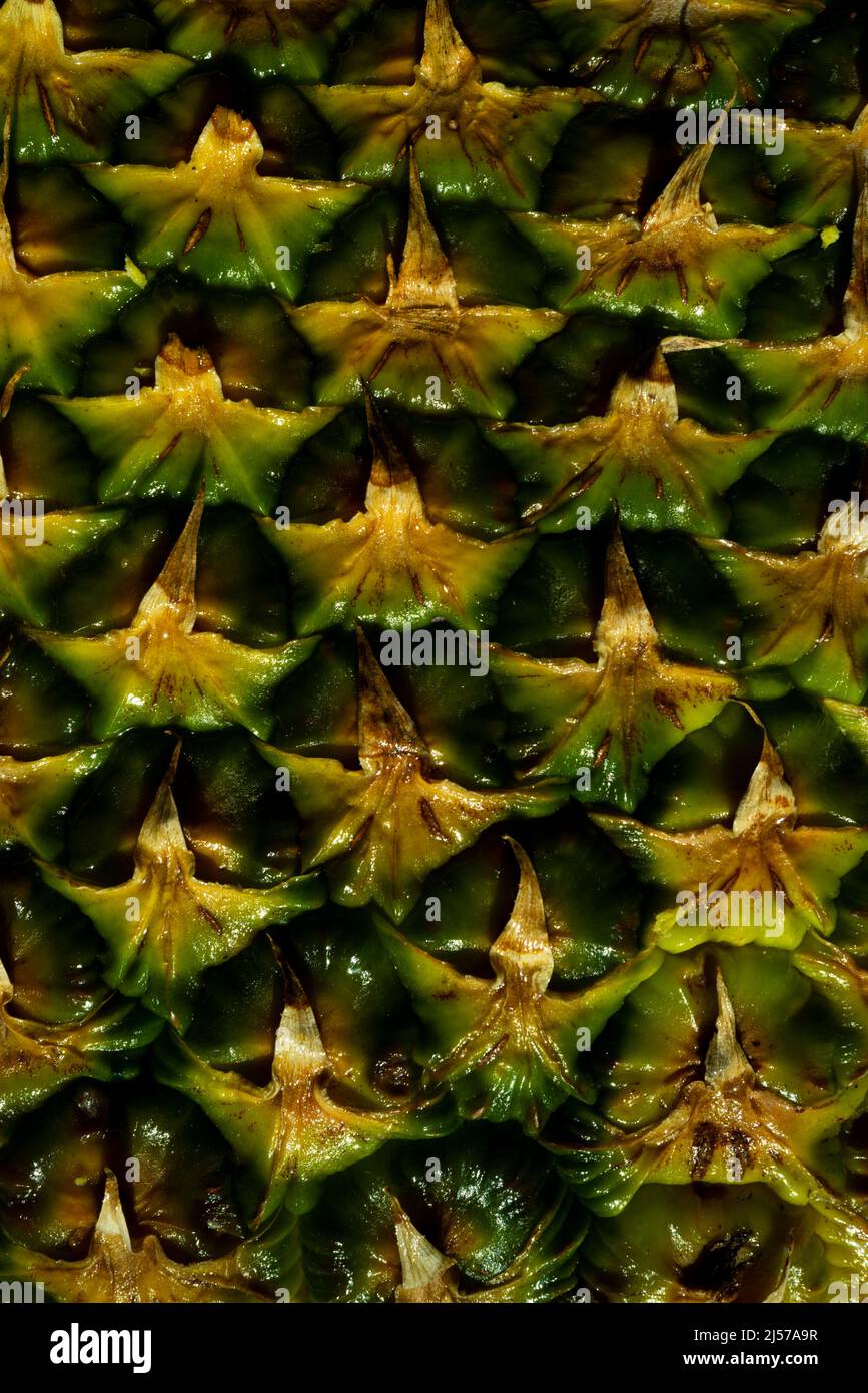 Texture of pineapple skin. Pineapple bark. Pineapple texture. Patterned ...