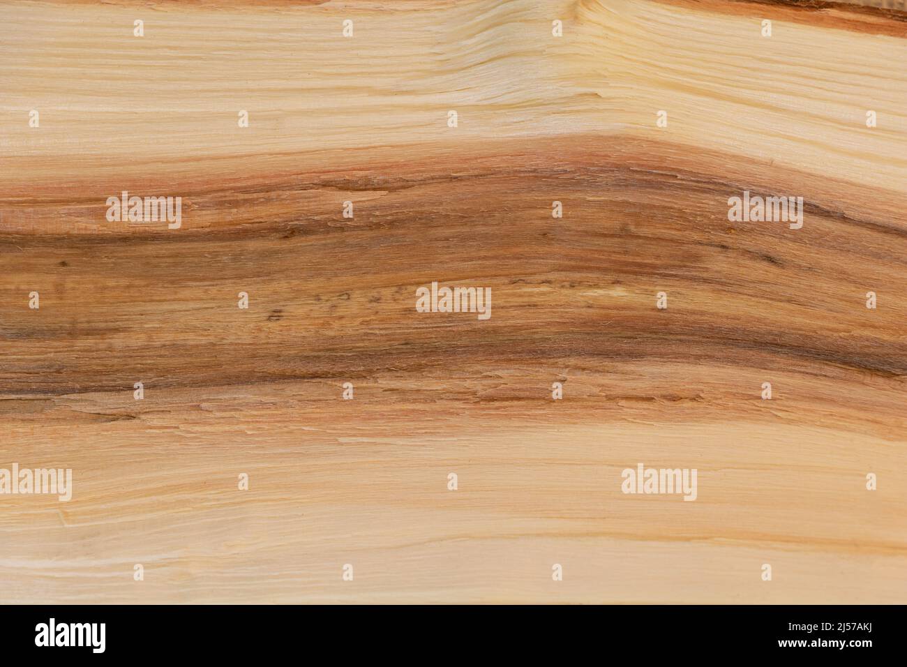 Close up shot of split wood texture background - good for design Stock ...