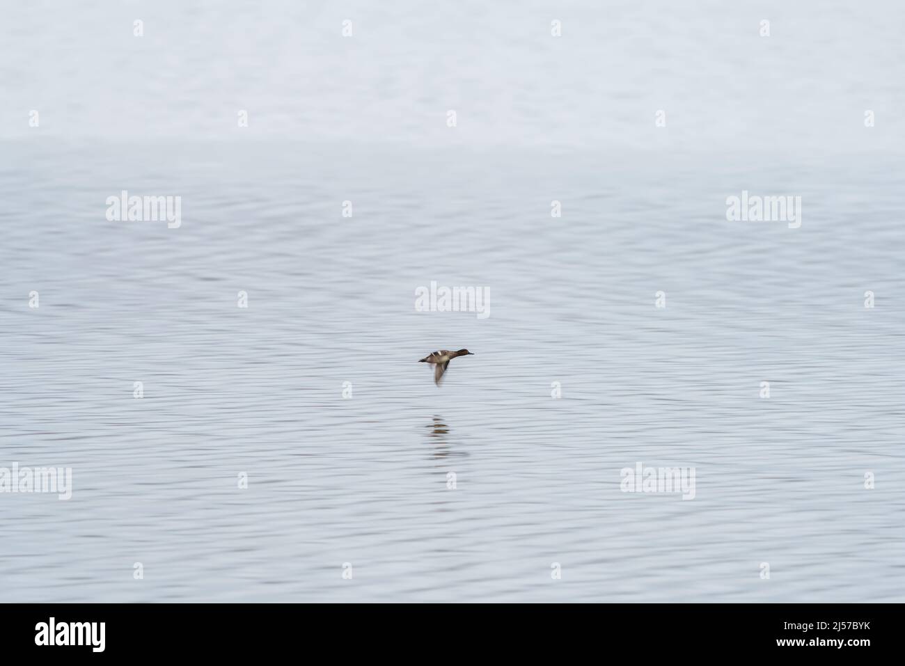 Calm sense hi-res stock photography and images - Alamy