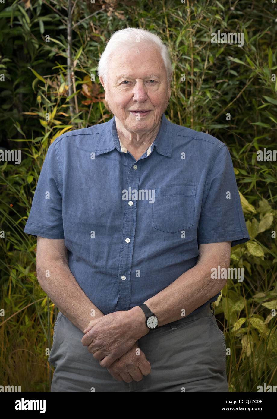 File photo dated 31/10/21 of Sir David Attenborough, who has been named a Champion of the Earth ...