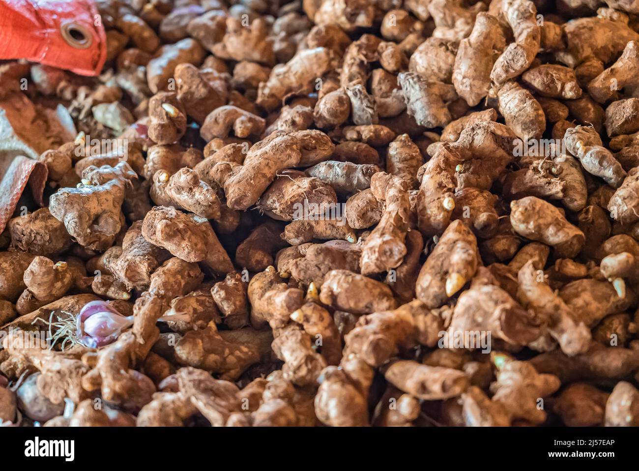 Many ginger roots on the counter of food market in Zanzibar, Tanzania ...