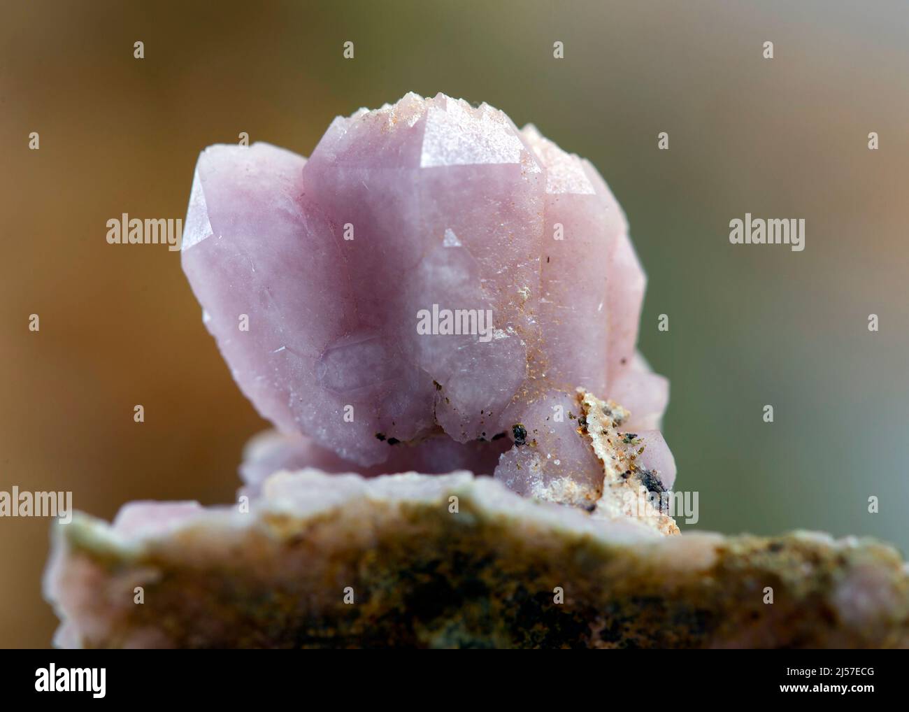 pink quartz mineral specimen stone rock geology gem crystal Stock Photo ...