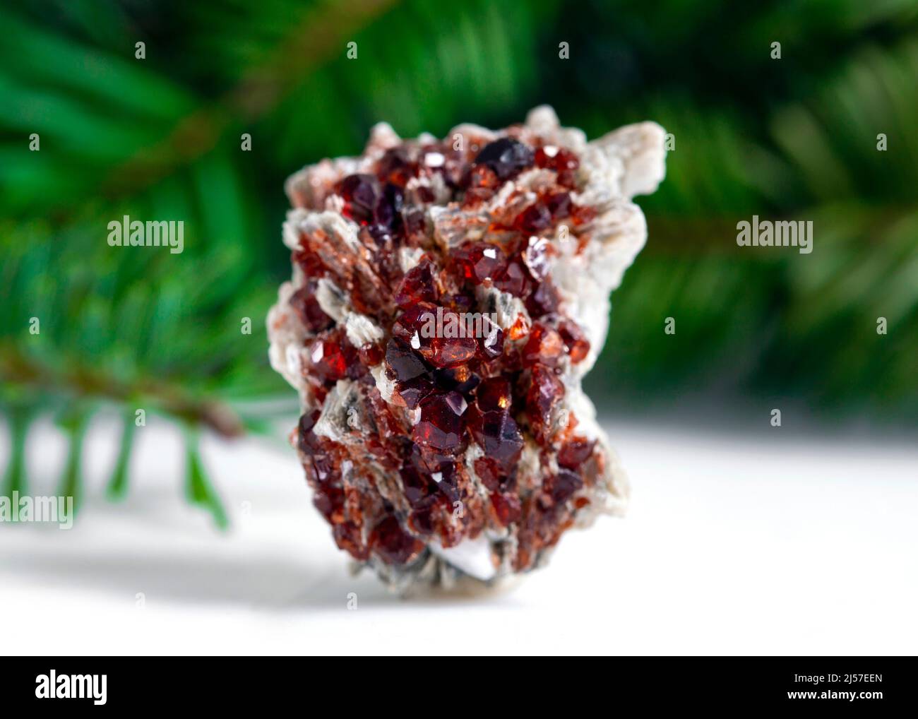 garnet mineral specimen stone rock geology gem crystal Stock Photo - Alamy