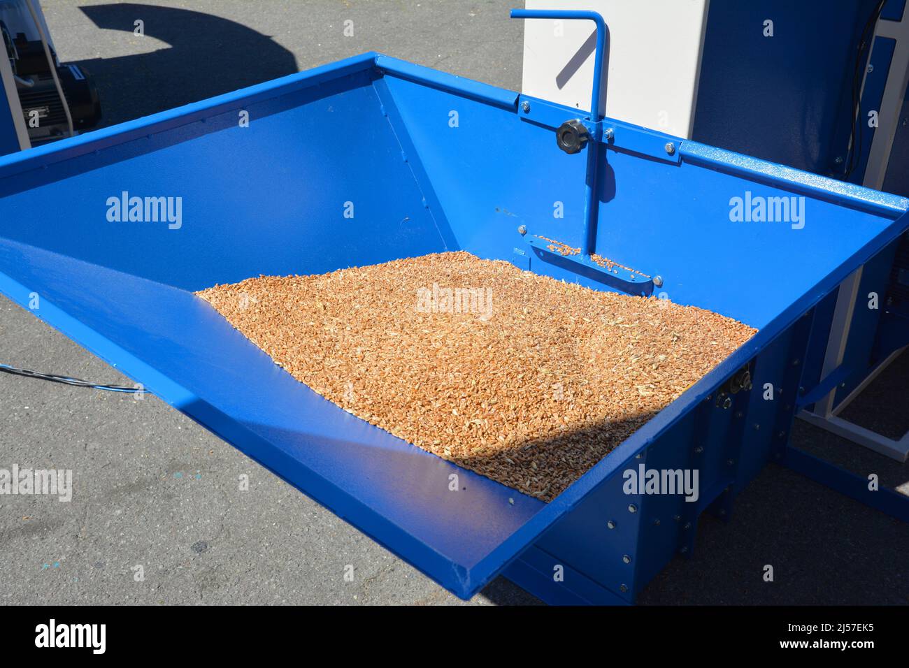 Grinding wheat into flour. Grind wheat in a grain mill Stock Photo - Alamy