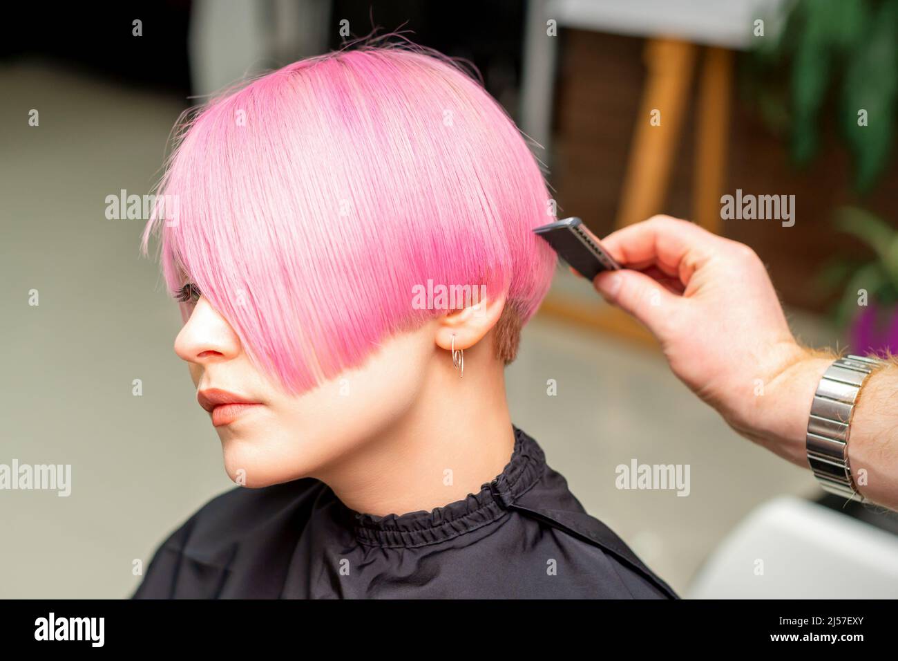 A hairdresser is combing the dyed pink short hair of the female client ...