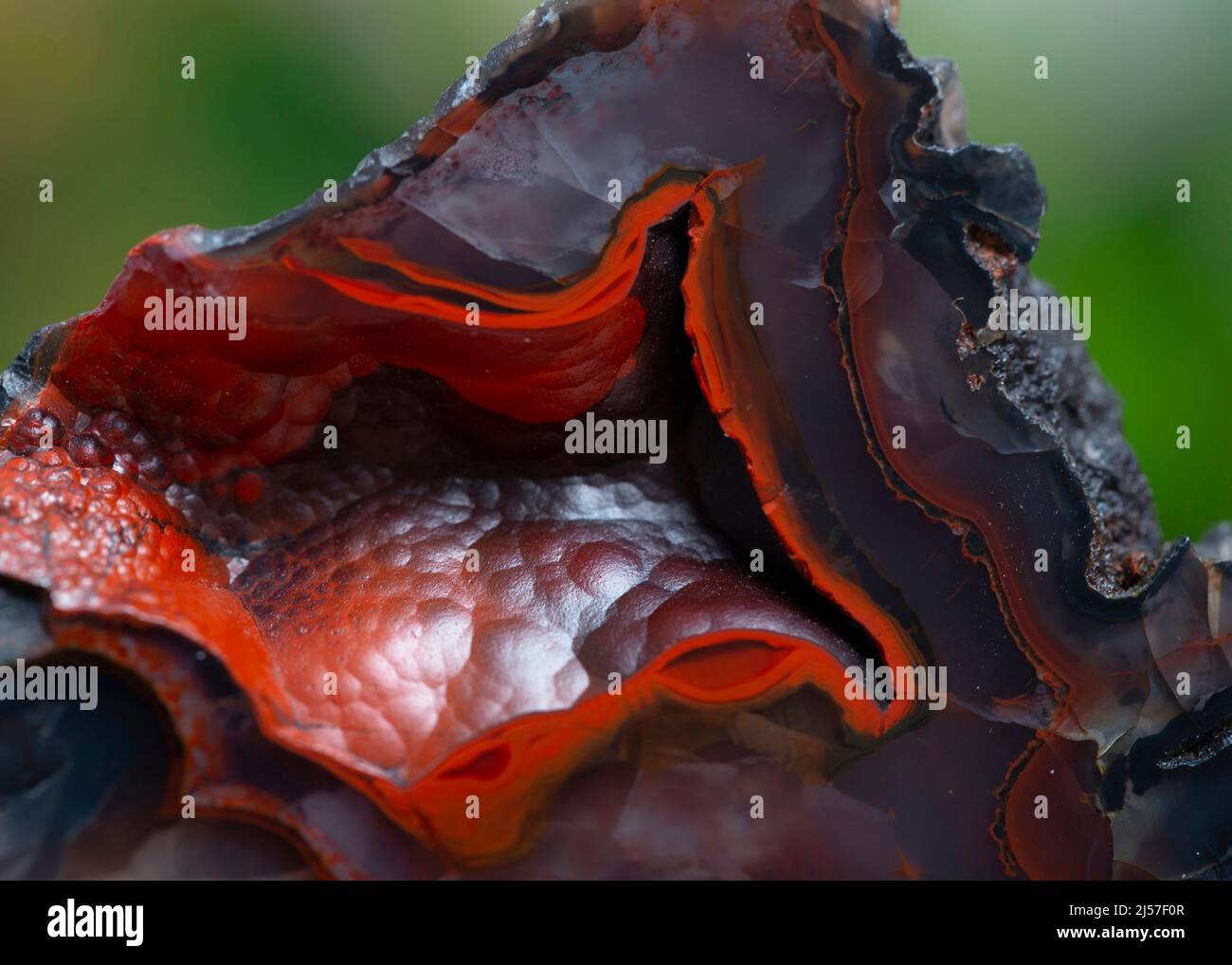 red fox agate mineral specimen stone rock geology gem crystal Stock ...