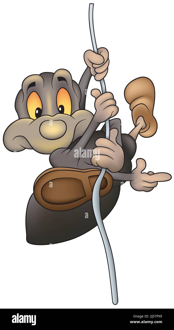 Spider Hanging on a Spider Web Thread Stock Vector Image & Art - Alamy