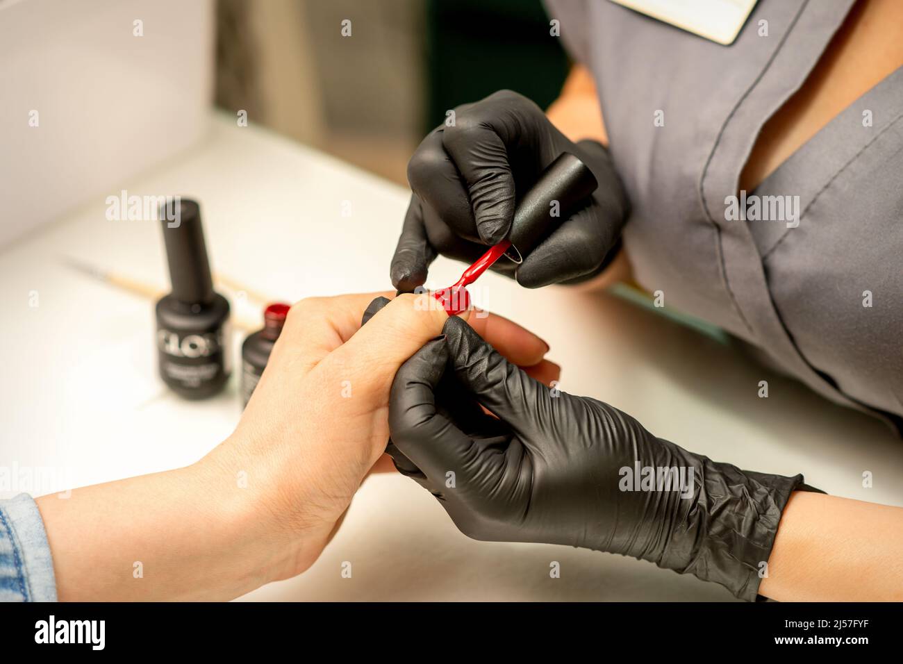 Professional manicure. A manicurist is painting the female nails of a ...