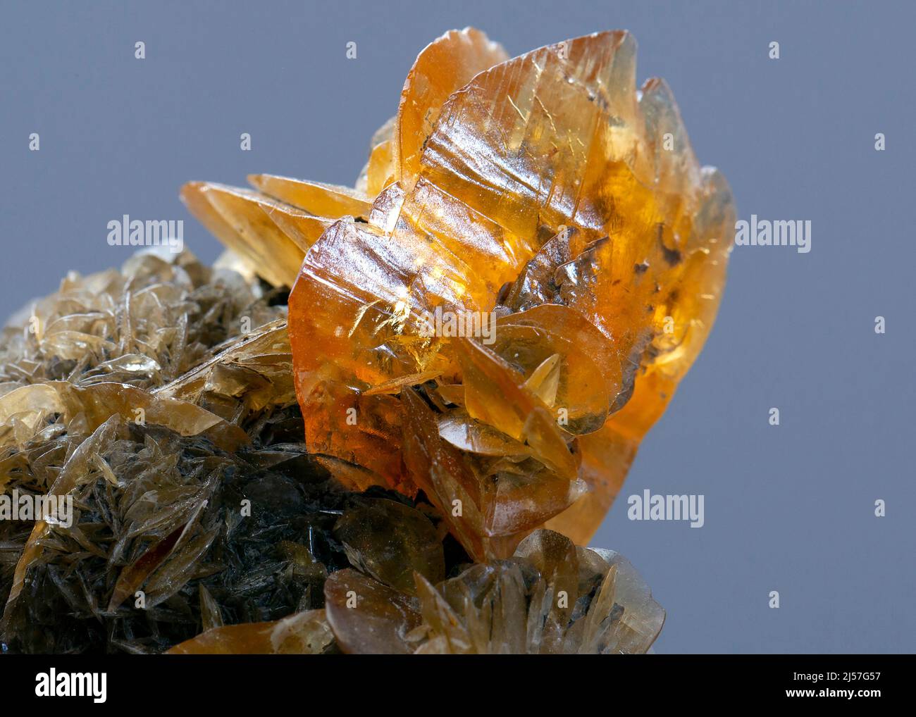 Natural gray gypsum stone hi-res stock photography and images - Alamy
