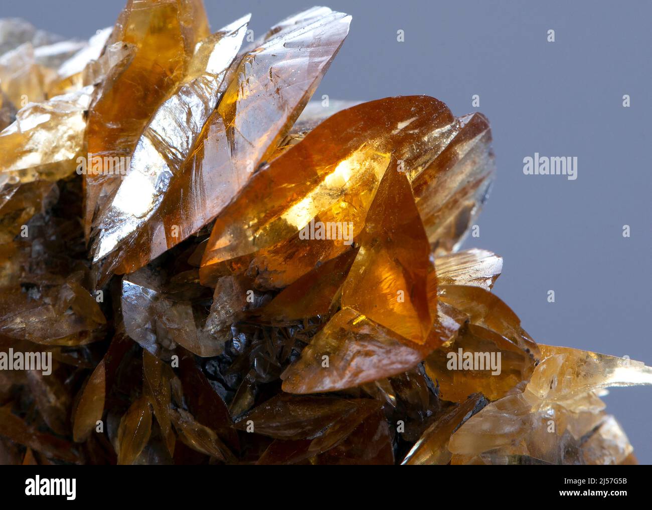 gypsum selenite mineral specimen stone rock geology gem crystal Stock ...