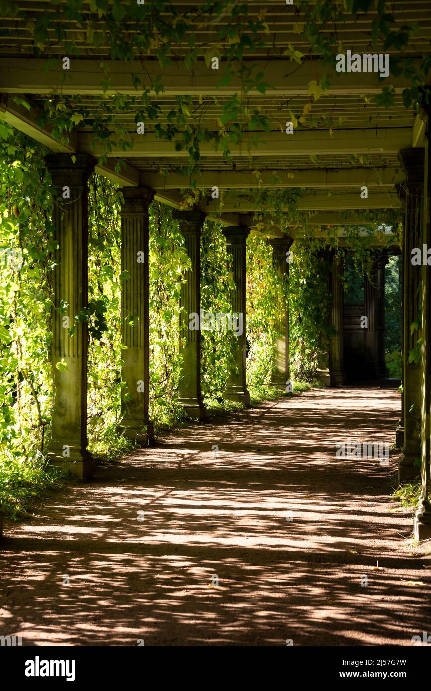 Shady tunnel hi-res stock photography and images - Alamy