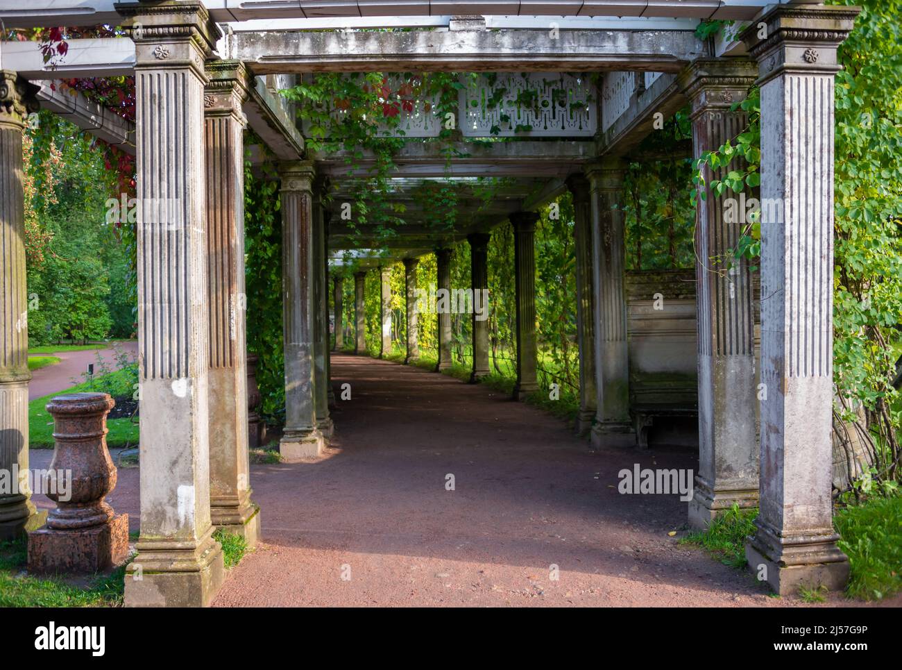 Green shady tunnel in a summer park Stock Photo - Alamy