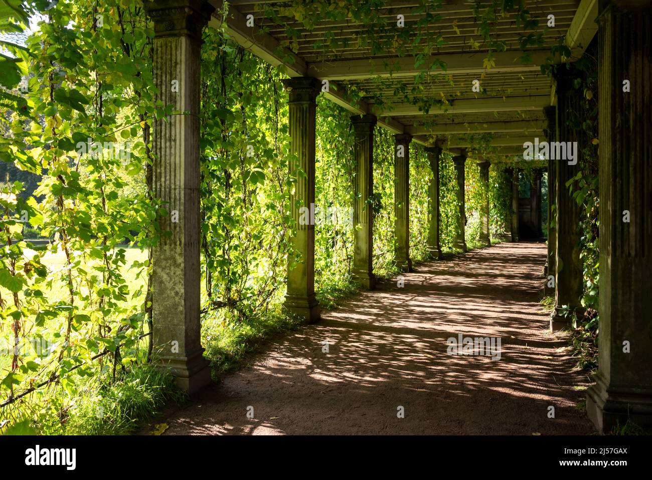 Shady tunnel hi-res stock photography and images - Alamy