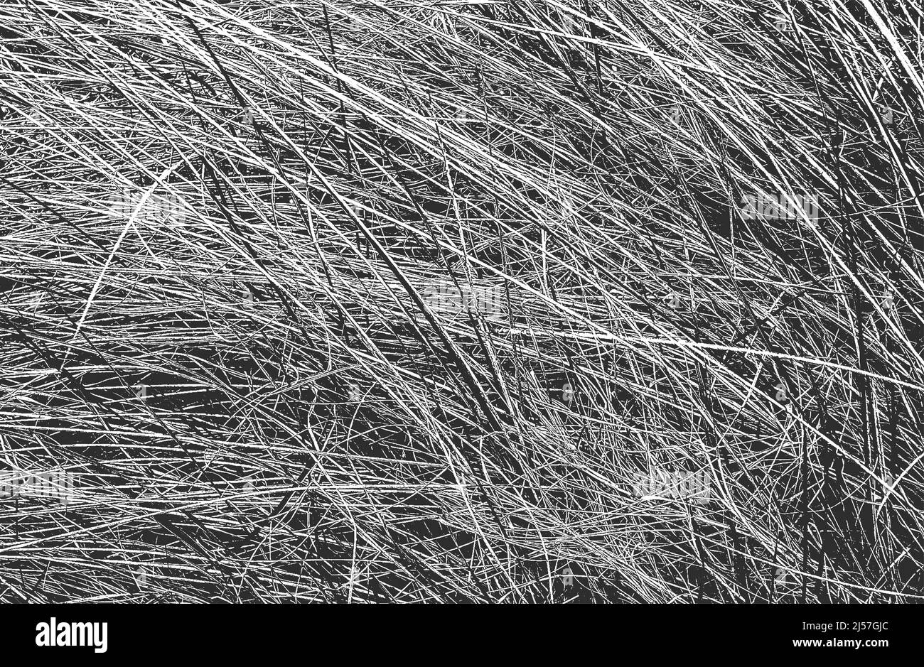 Distressed overlay grass stem texture on the ground. grunge black and ...