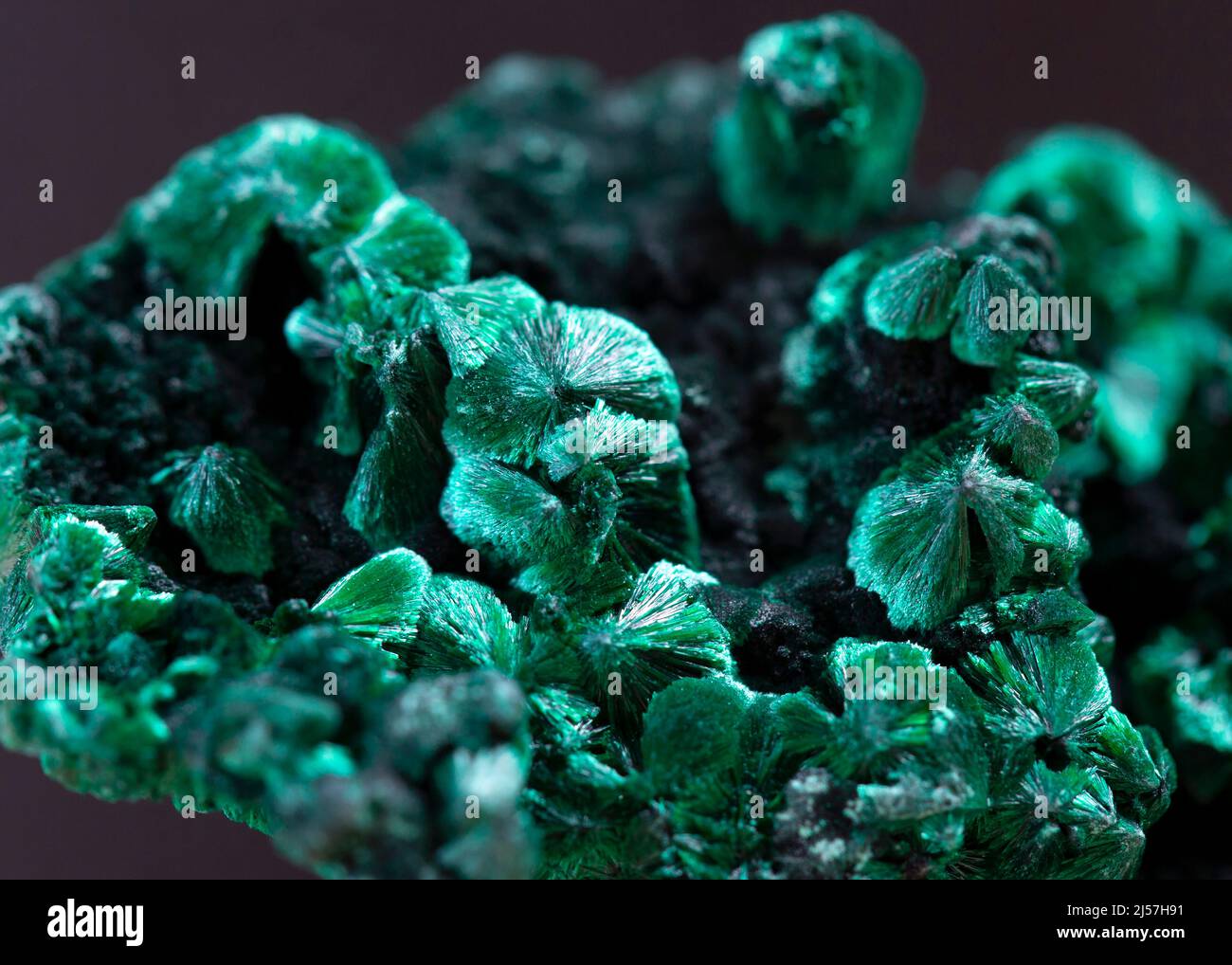 malachite mineral specimen stone rock geology gem crystal Stock Photo ...