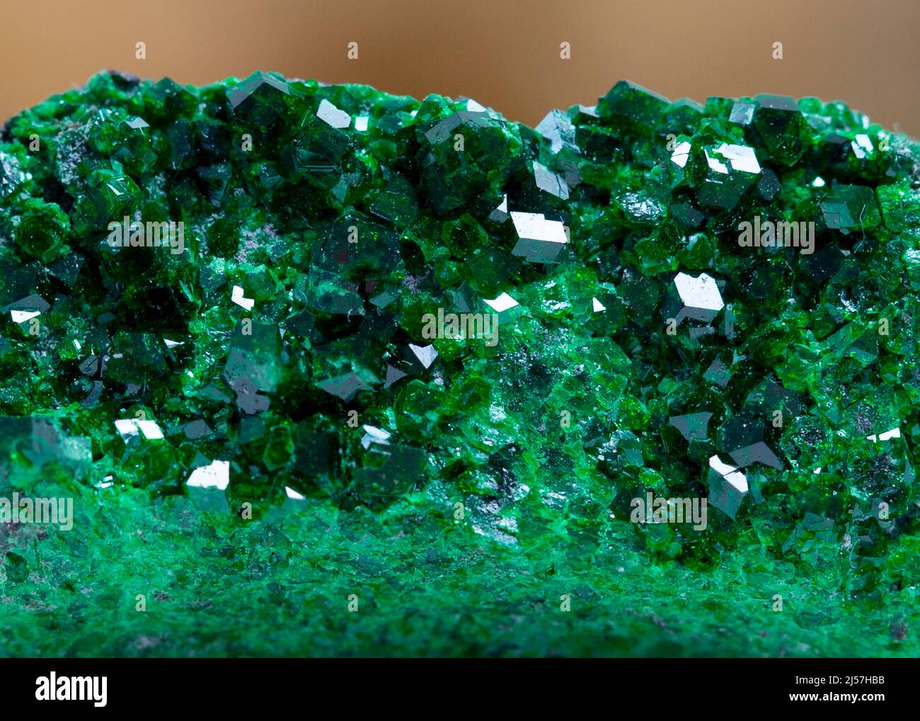 uvarovite mineral specimen stone rock geology gem crystal Stock Photo ...