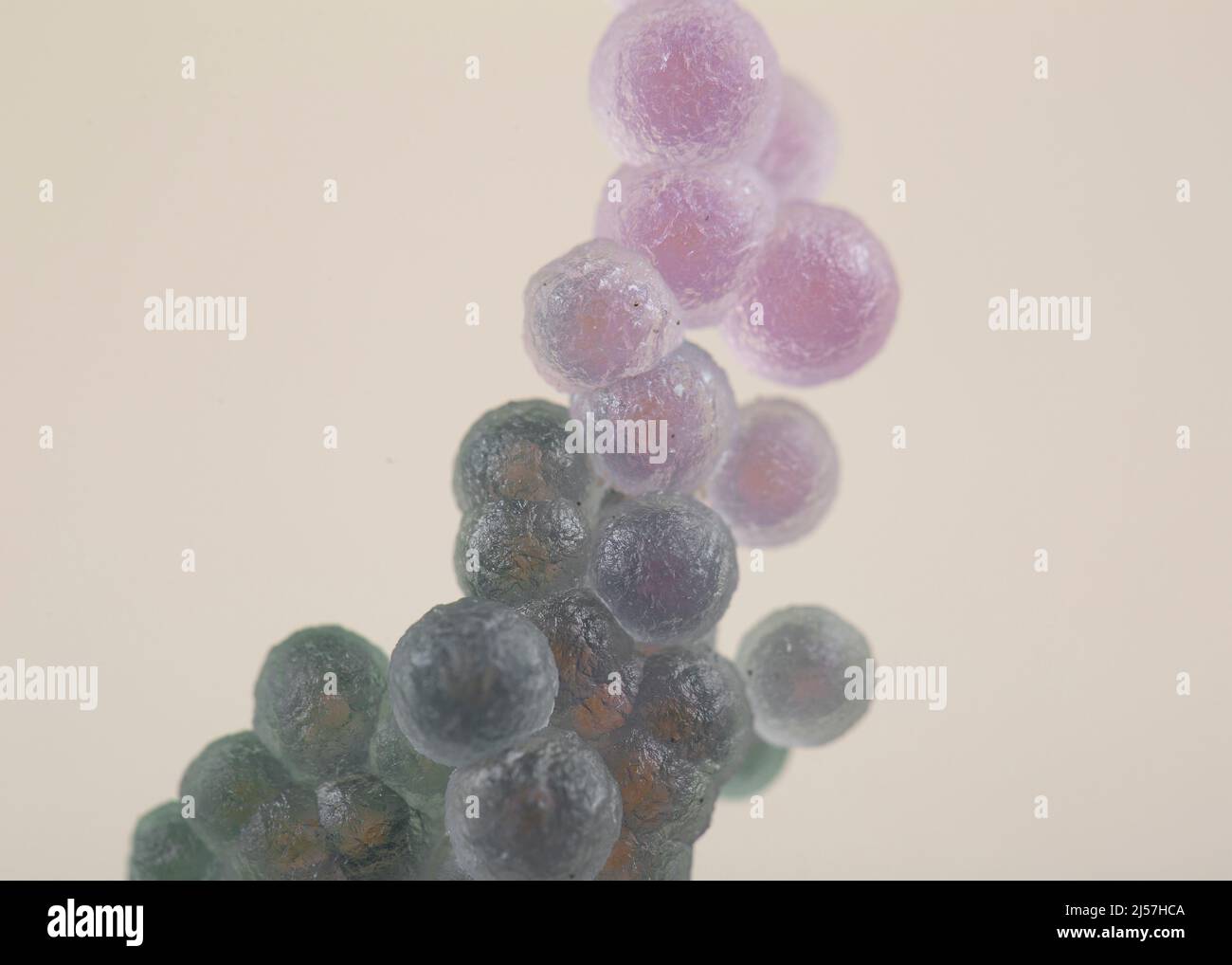 grape agate mineral specimen stone rock geology gem crystal Stock Photo ...