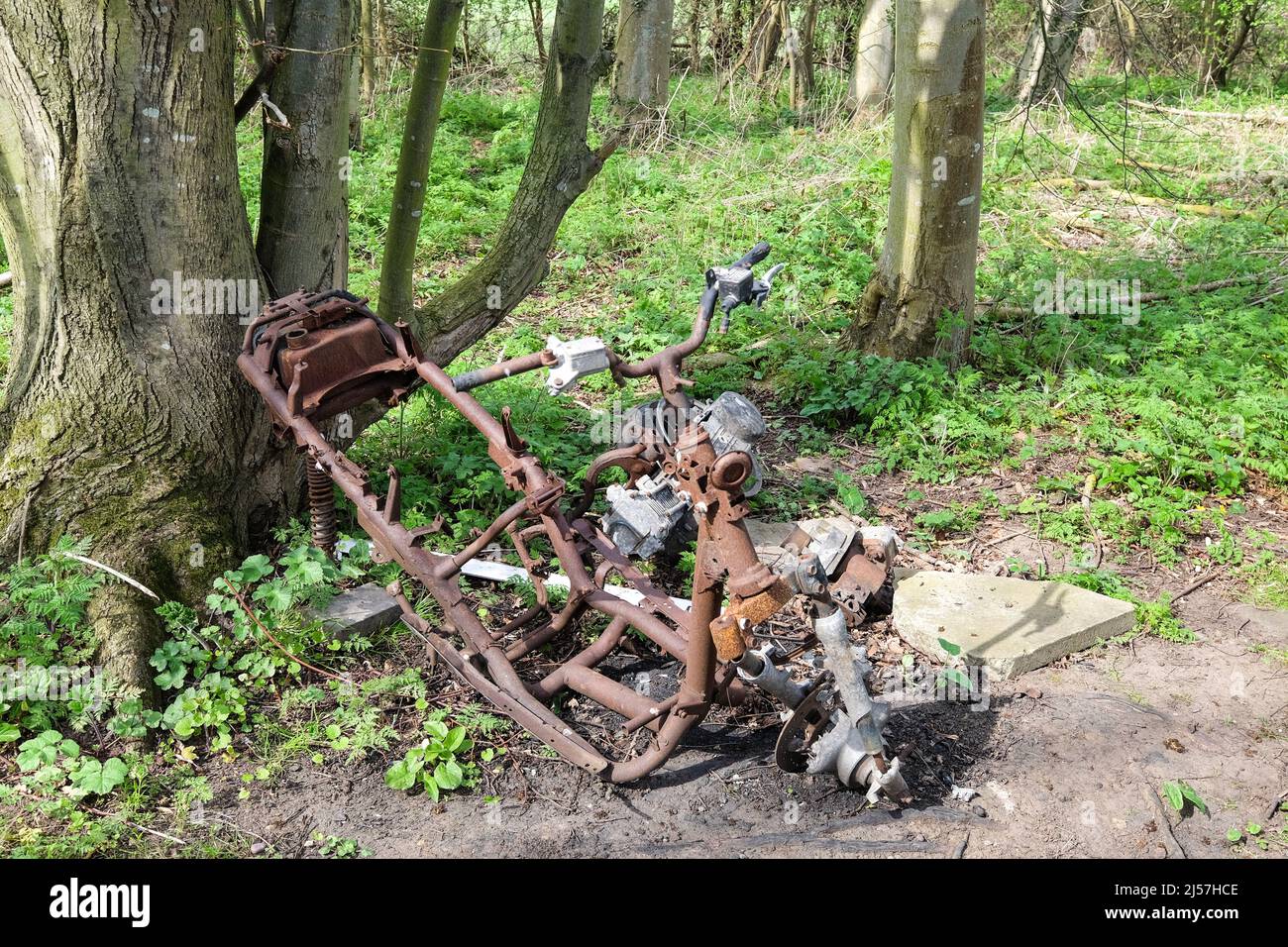 burnt out motorbike dumped in woodland Stock Photo - Alamy