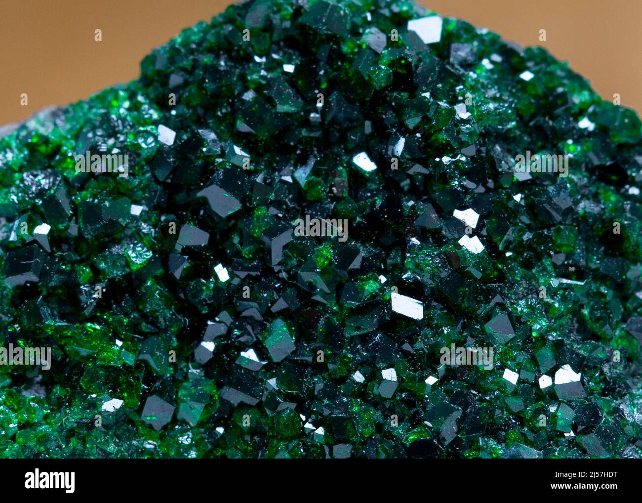 uvarovite mineral specimen stone rock geology gem crystal Stock Photo ...