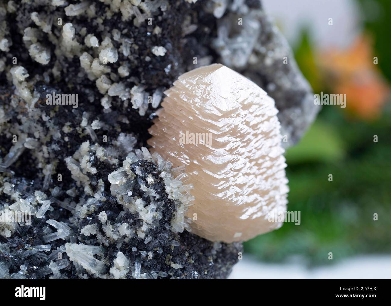 Mangonacalcite hi-res stock photography and images - Alamy