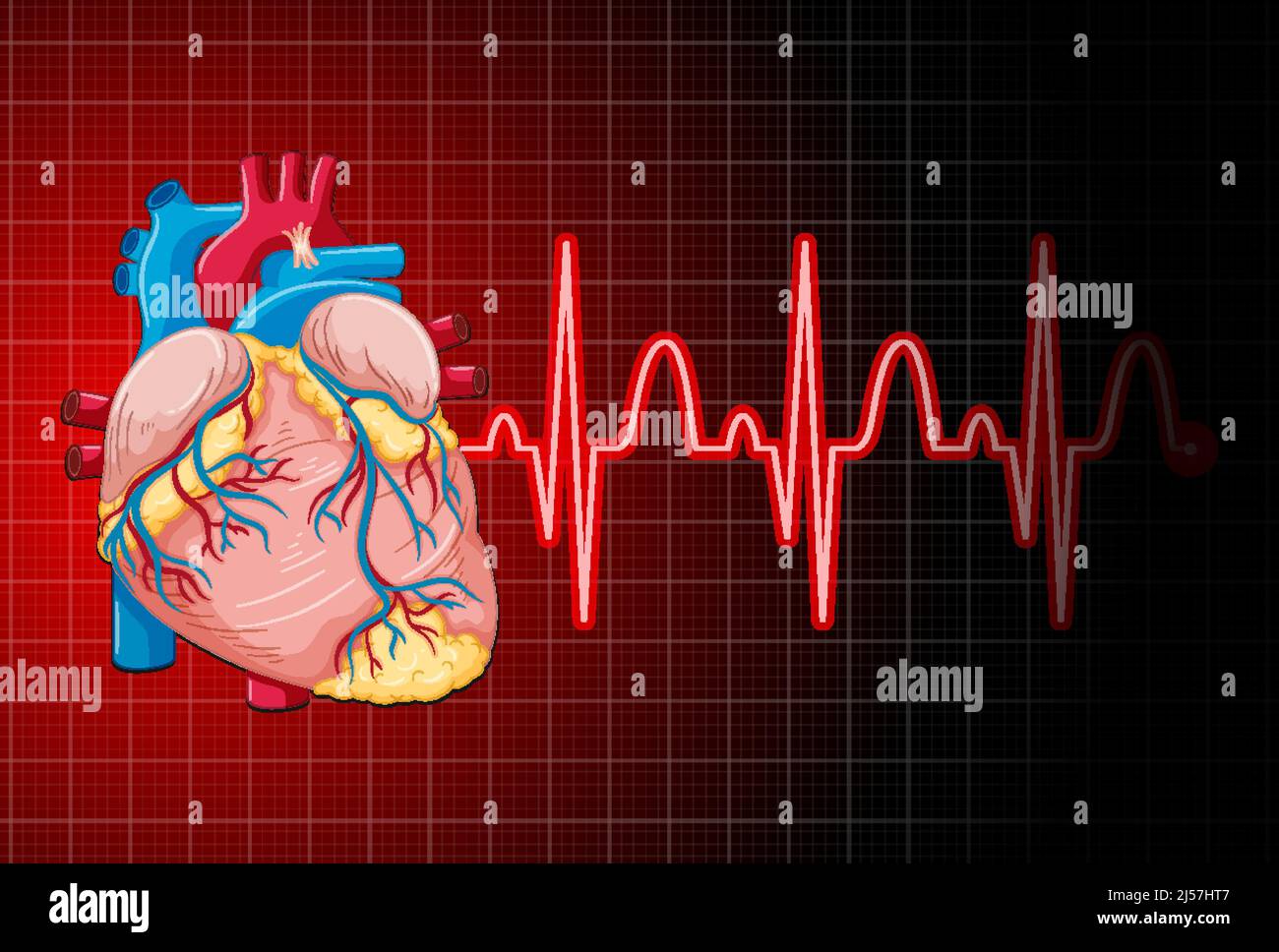 Heartbeat with heart rate graph illustration Stock Vector Image & Art ...