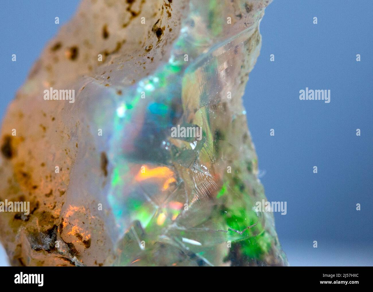 Translucent opal hi-res stock photography and images - Alamy