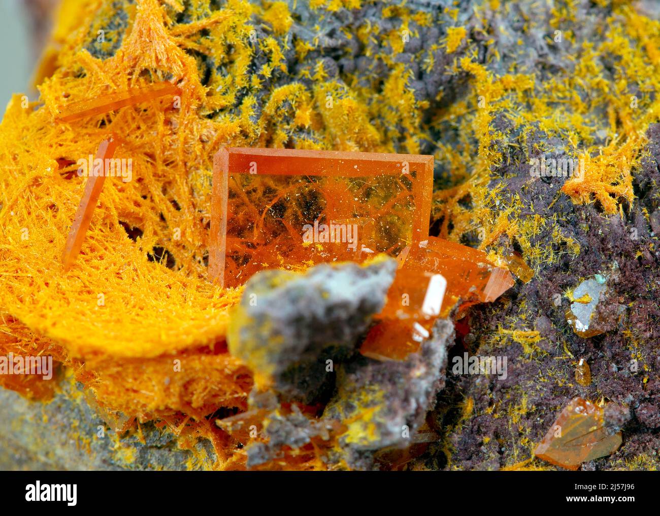 wulfenite mineral specimen stone rock geology gem crystal Stock Photo ...