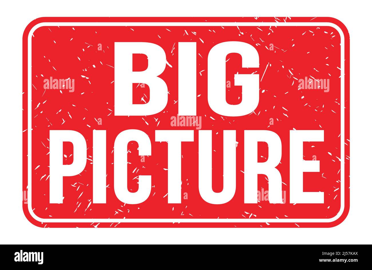 BIG PICTURE, words written on red rectangle stamp sign Stock Photo - Alamy