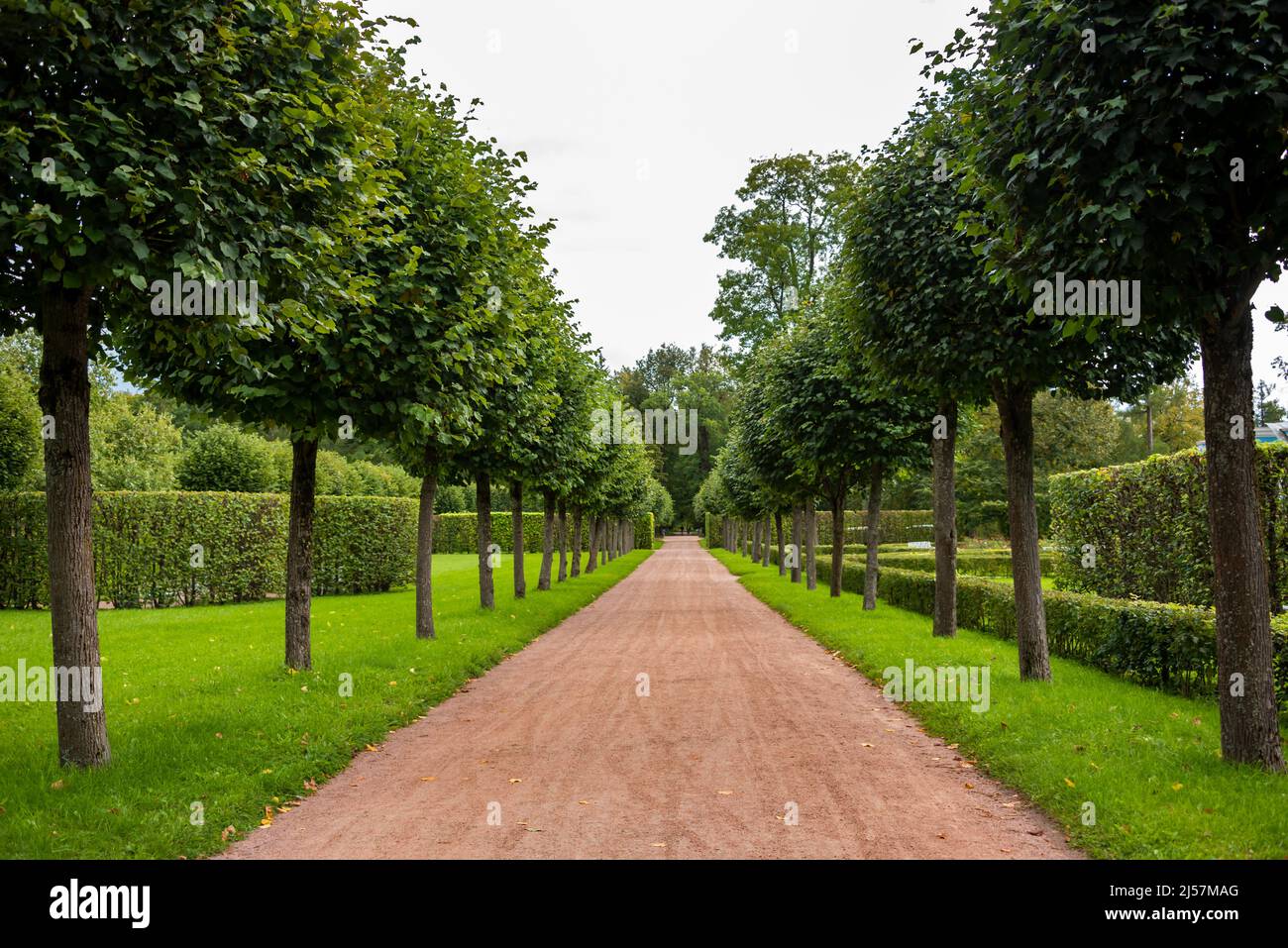Green park in summer, park design and landscape Stock Photo - Alamy