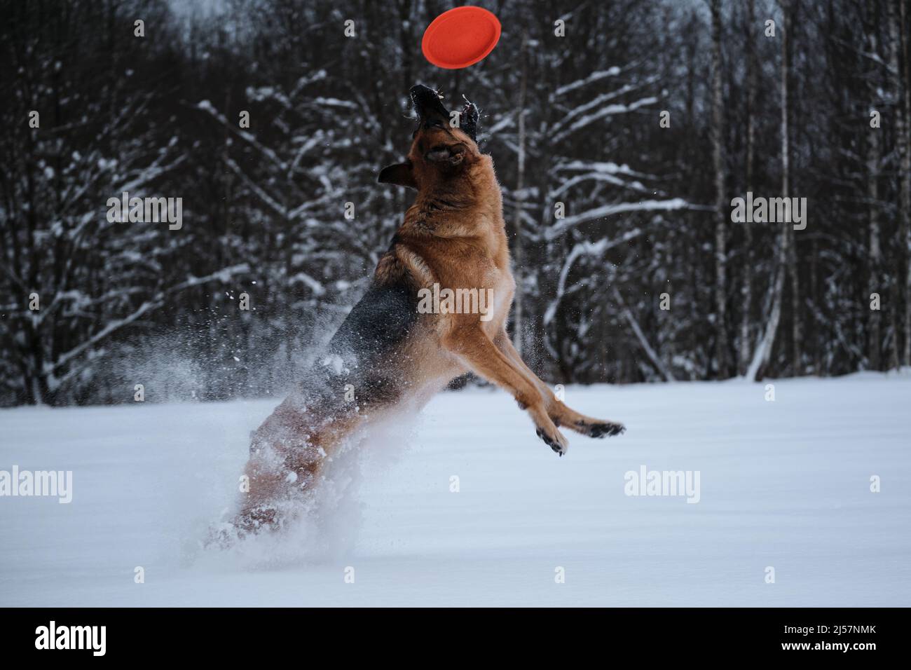 Snow saucer jump hi-res stock photography and images - Alamy