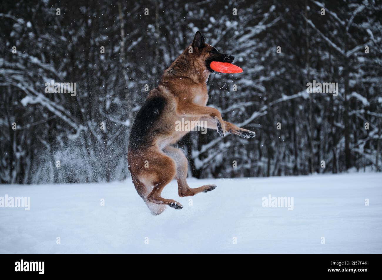 Sau park hi-res stock photography and images - Alamy