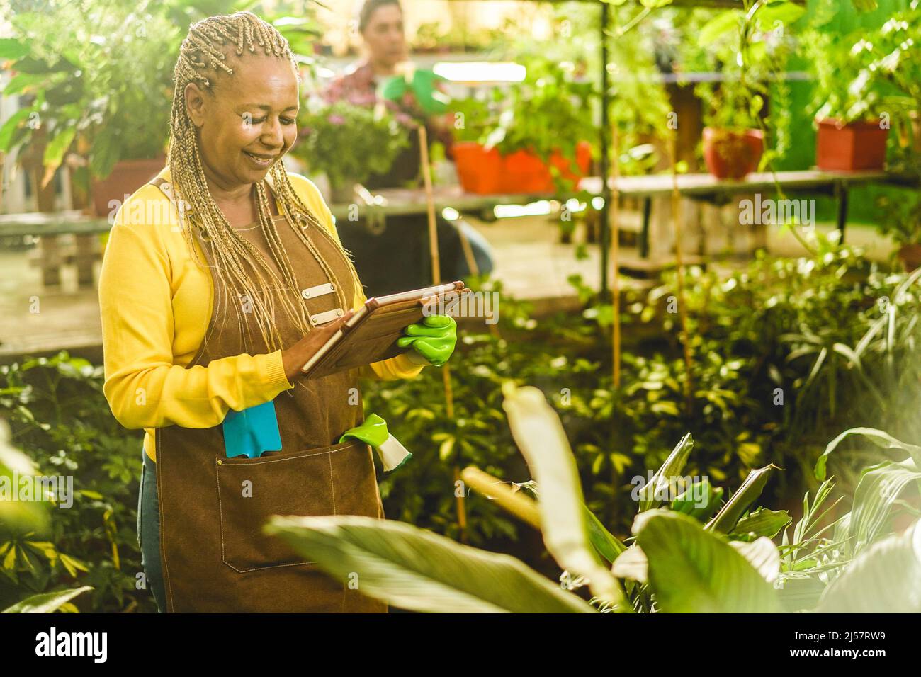 Multiracial women working inside glasshouse garden market - Focus on ...