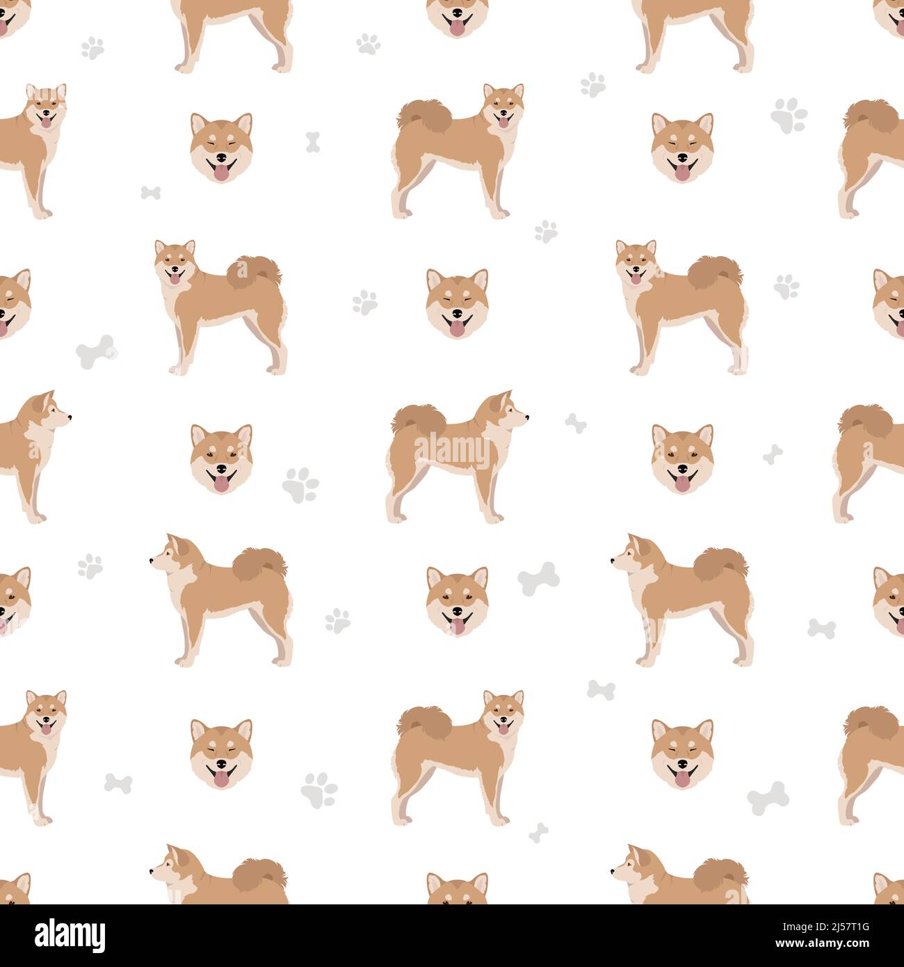 Shiba Inu, Japanese small size dog coat colors, different poses ...