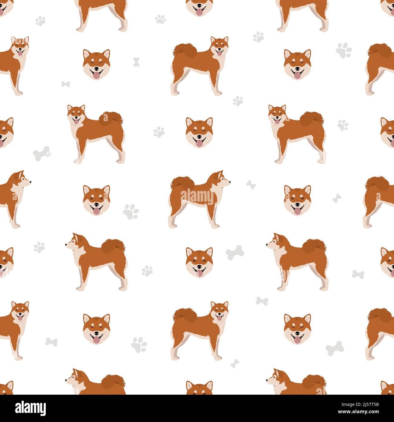 Shiba inu pattern hi-res stock photography and images - Alamy