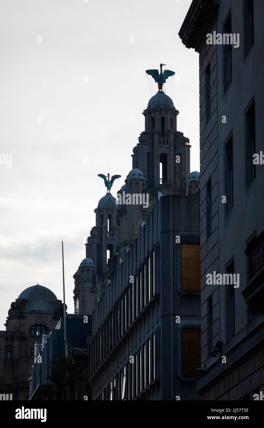 Bella and Bertie, the mythical liver birds atop the Royal Liver ...