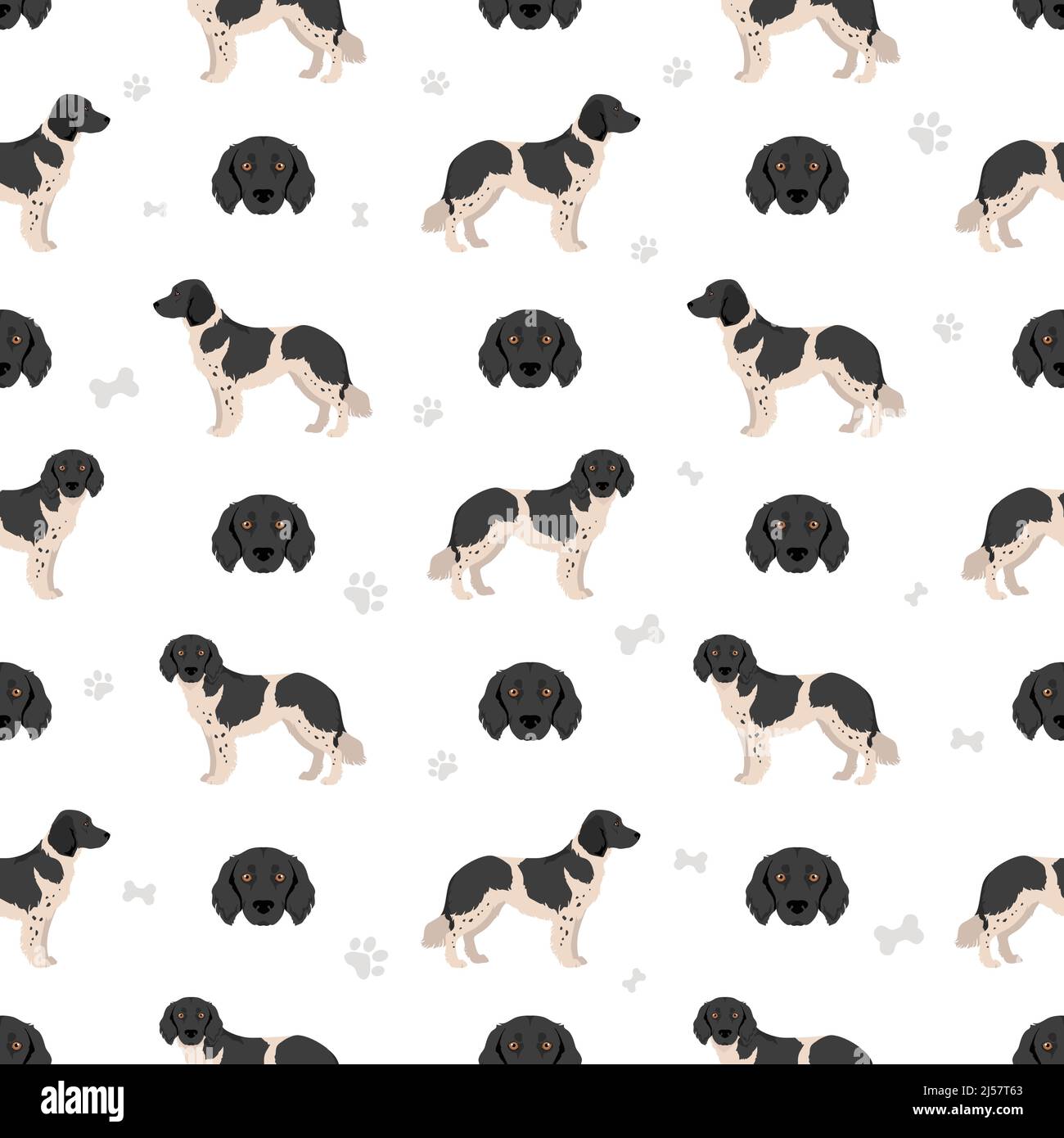 Stabyhoun coat colors, different poses seamless pattern. Vector ...