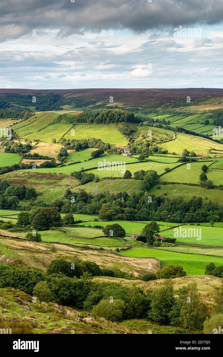 Rosedale from Chimney Bank above Rosedale Abbey village Stock Photo - Alamy