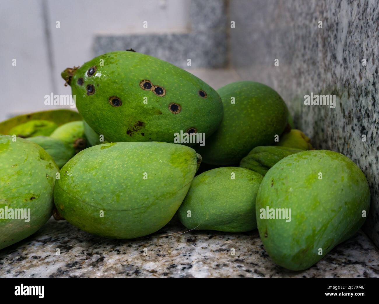 A close up shot of a heap of raw mangoes . Mangifera indica commonly ...