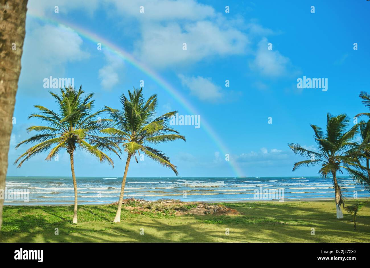 Coco palm and rainbow on exotic tropical beach at morning in Seychelles ...