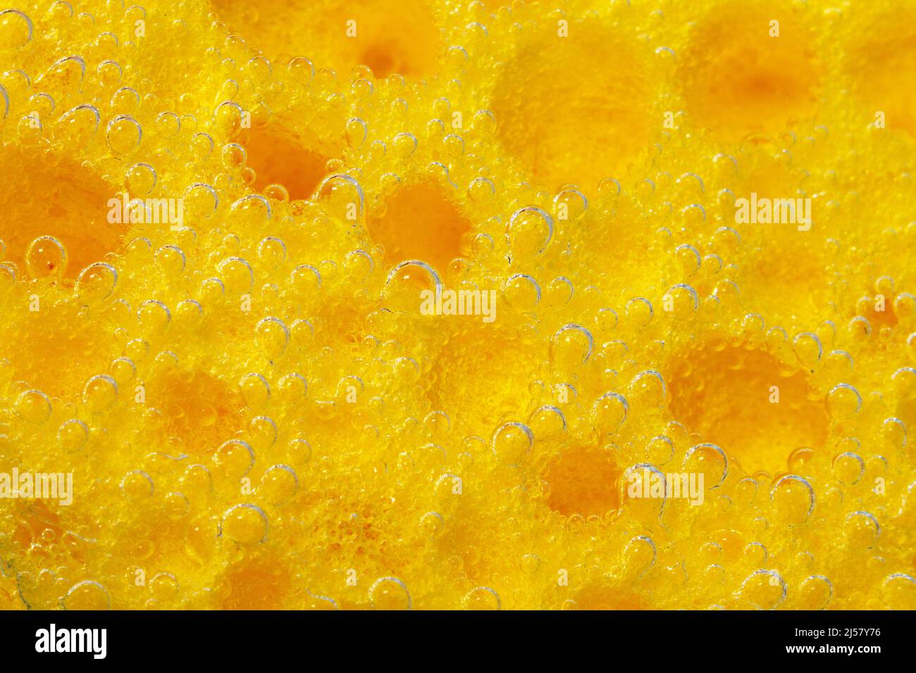 Moisture absorbing sponge hi-res stock photography and images - Alamy