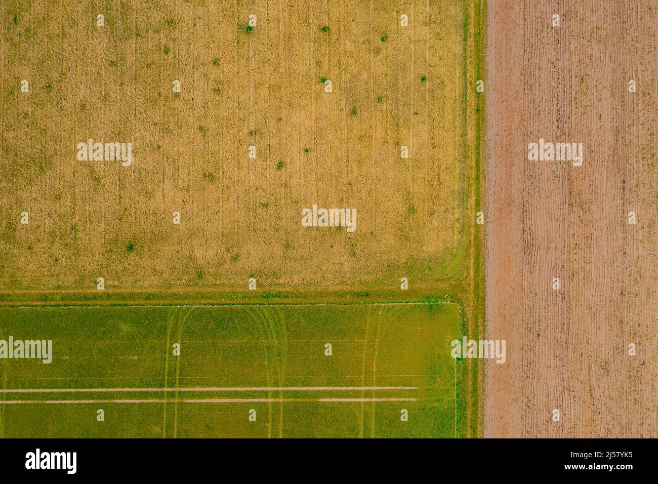 Aerial view of agricultural fields with patterns of lines and tracks ...