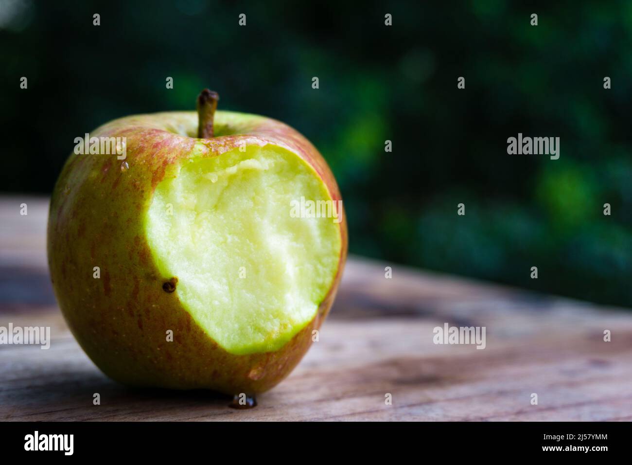 A close up shot of a half eaten apple with visible seed in natural ...