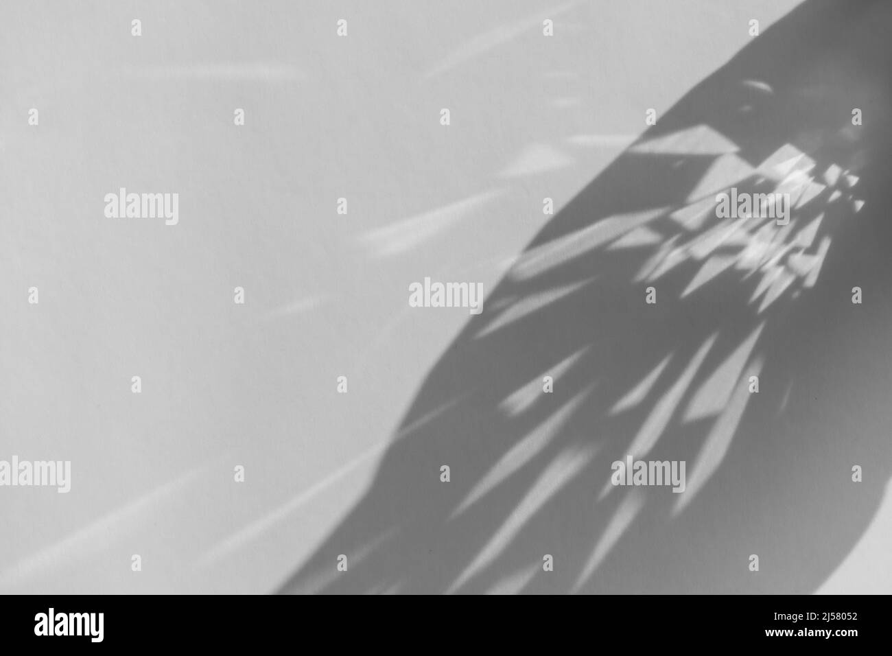 Shadow and light refraction on white wall overlay photo effect, sun ...