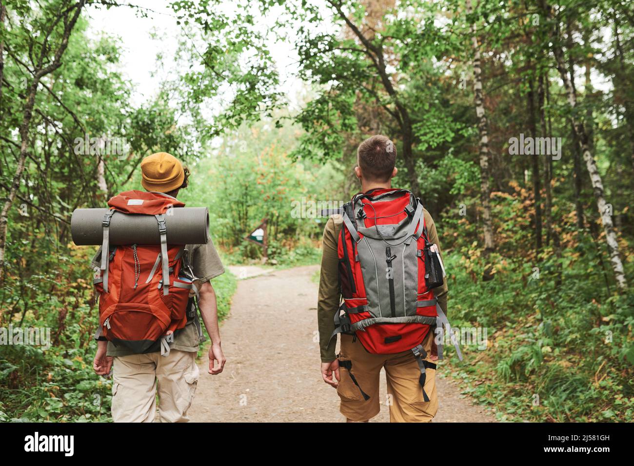 Rear view of men with backpacks walking along forest path while hiking ...